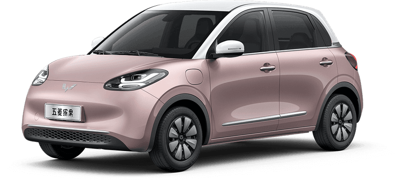 Shop | Wuling Motors
